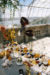 Capturing Earthly Magic: A Styled Shoot at Q Station, Sydney - Together ...