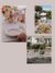Fig Tree Restaurant - Together Journal - Venue