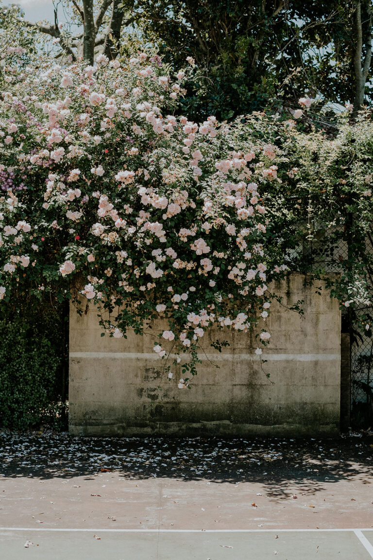 Chenae + Elias by Scott Surplice - Together Journal - Weddings