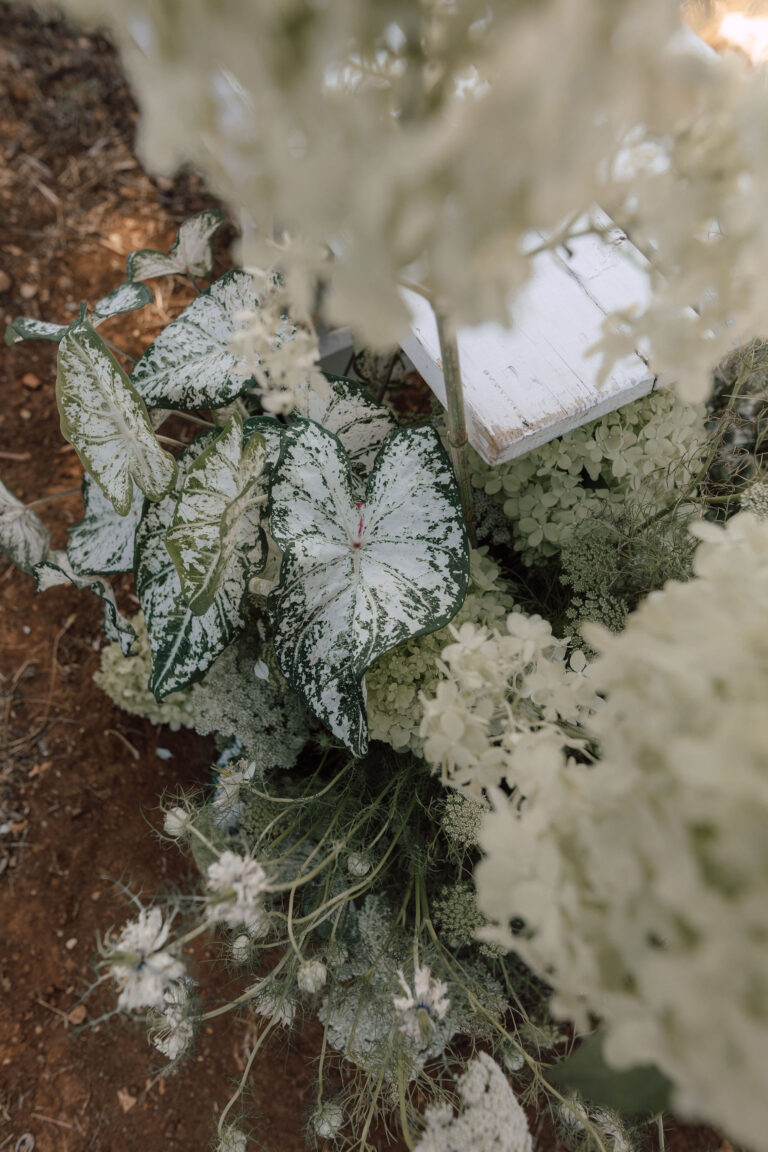 Daniela + Elias by Alessandra Linoci - Together Journal - Weddings