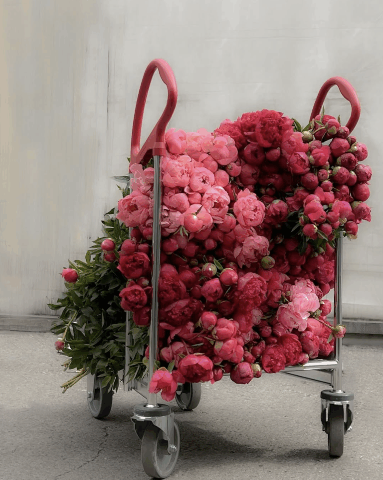 Flora Discovery - Together Journal - Flora + Styling