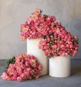 Flora Discovery - Together Journal - Flora + Styling